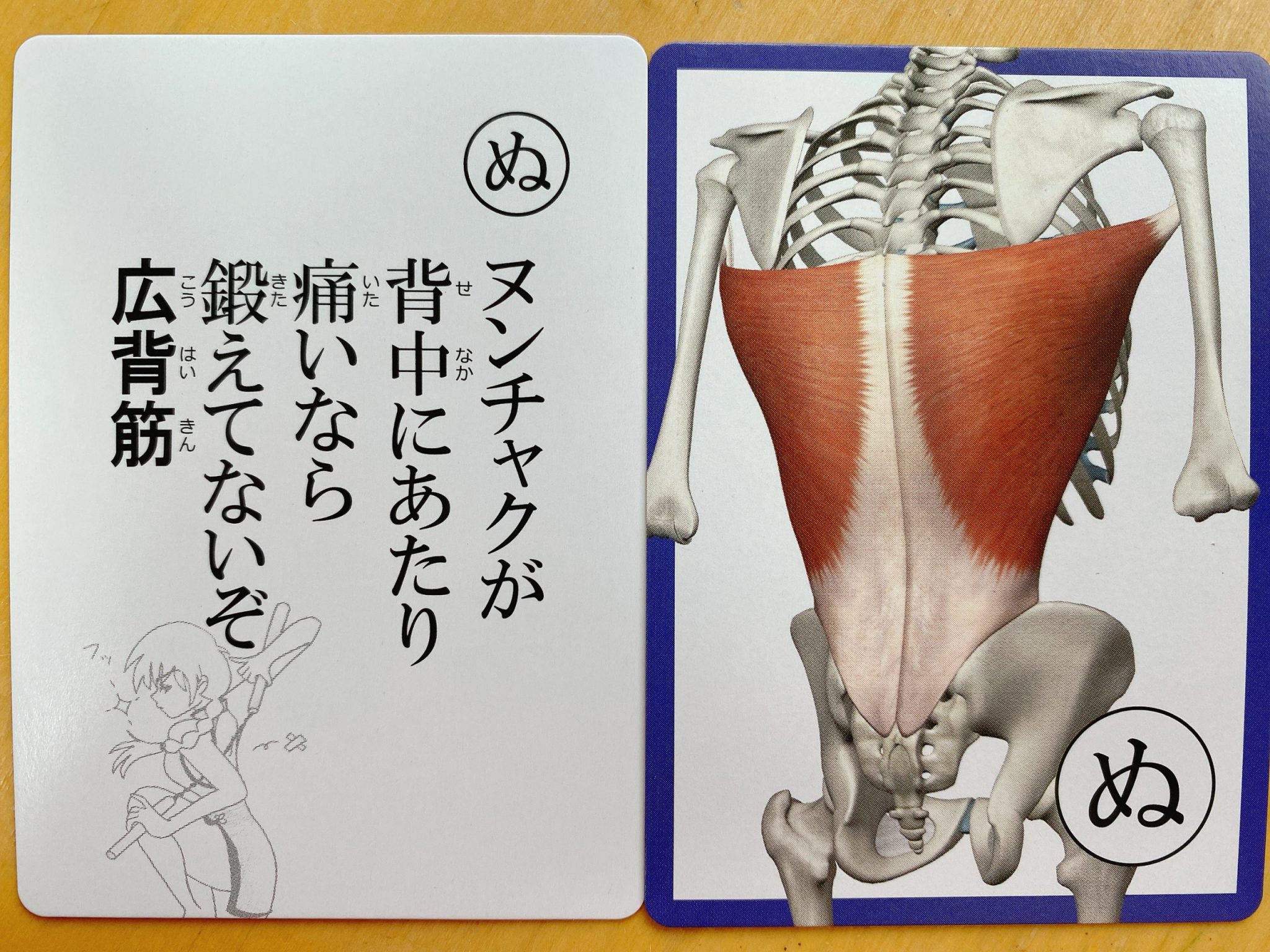 楽しく勉強！『筋肉かるた』 | 【愛知・名古屋】KOKACAREバドミントン教室・スクール（コカケア）